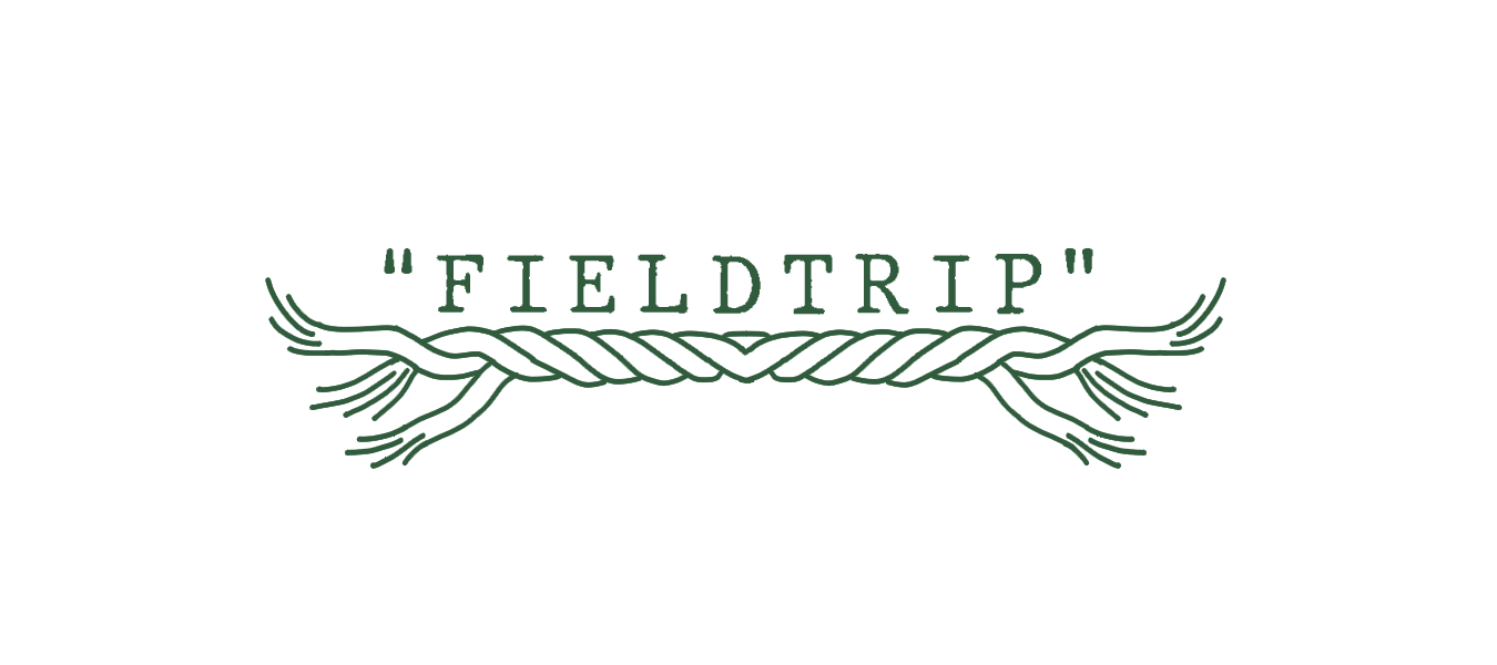 About FIELDTRIP - Sustainable, Considered, & Local